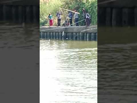 strek kedua di pemuda kali pemali