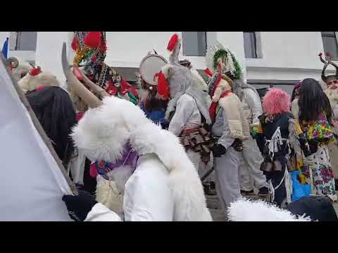 Capra mare de la Potângeni,Iași 04.01.2026 - YouTube