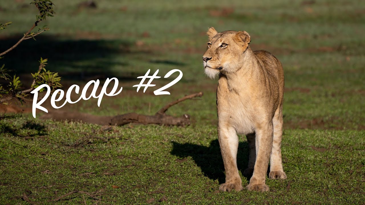 A new recap!! #2 - YouTube