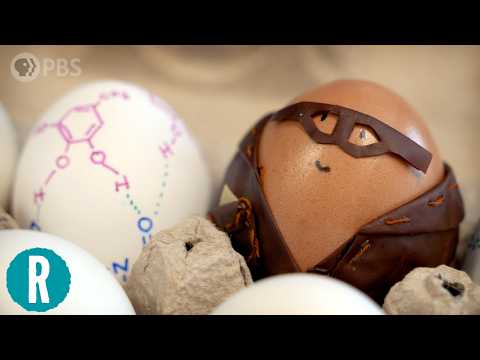 I Made Leather Out of Eggs Because of Dinosaurs