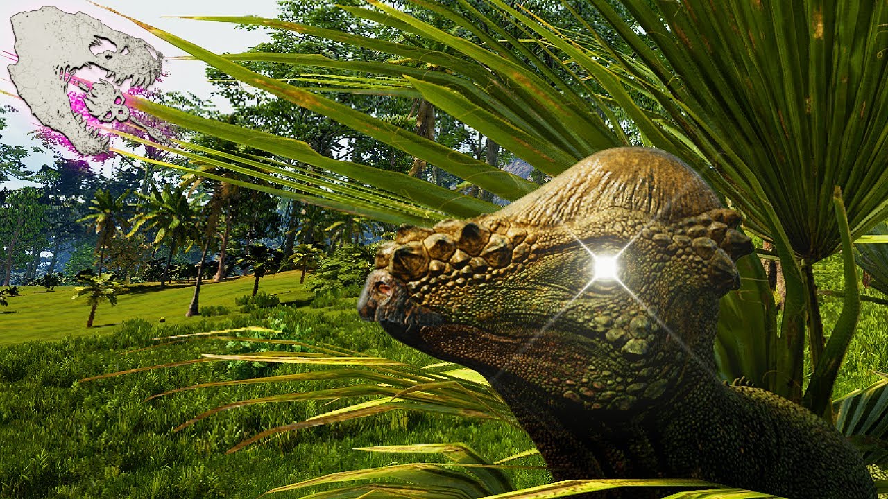 How NOT To Play Pachy | The Isle Evrima Gameplay - YouTube