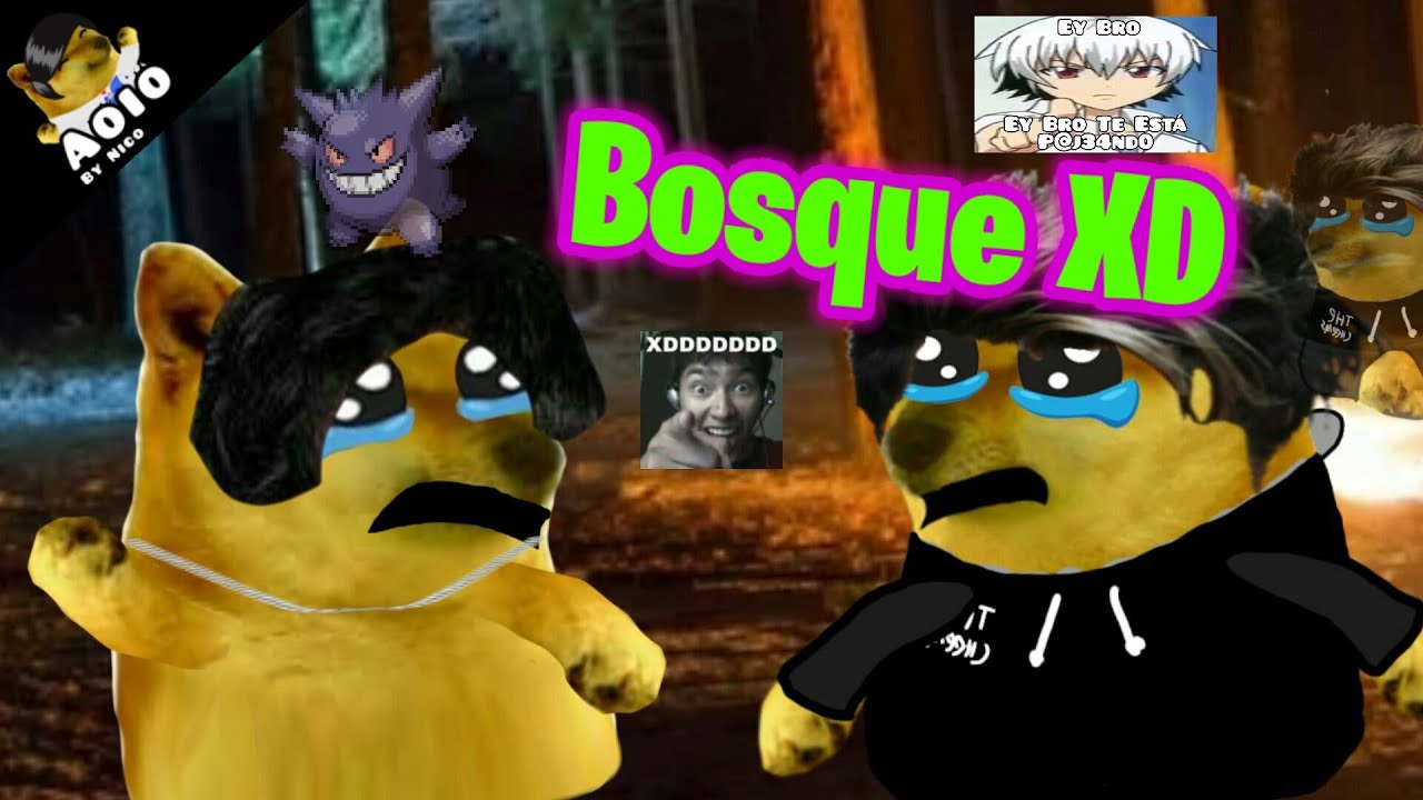 Abro hilo, nos perdimos en un bosque pero nos volvimos :v《AOIO》 - YouTube