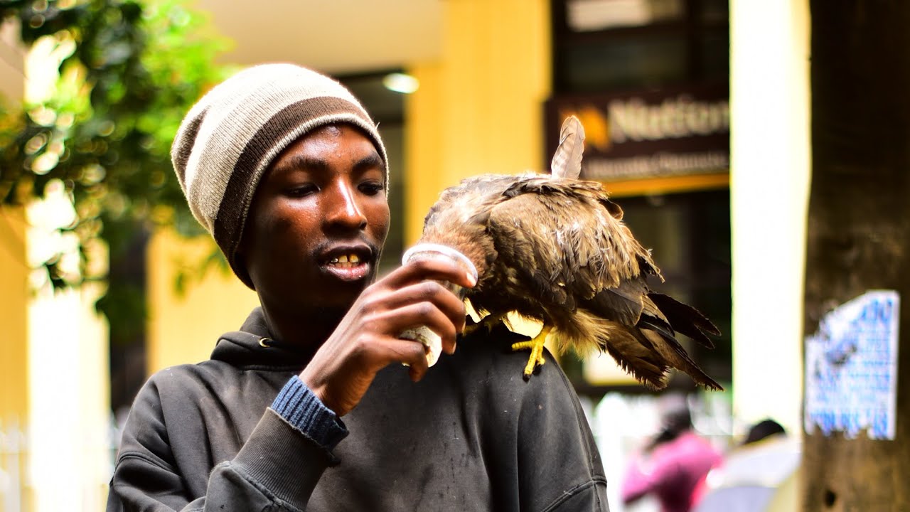 watch the supeheroic story of #Nairobi bird man on the star wish show ...