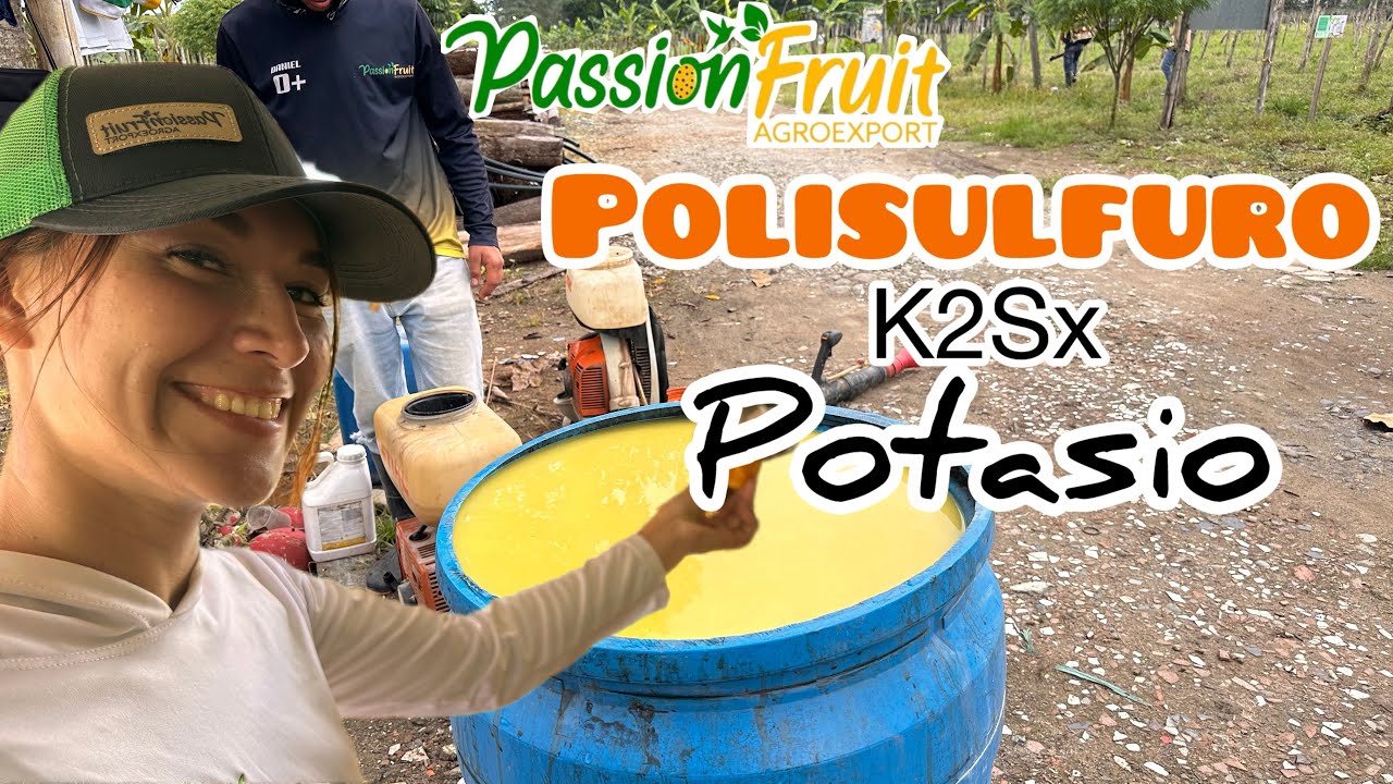 Polisulfuro de Potasio K2Sx para control de Trips, Ácaros y Hongos - YouTube