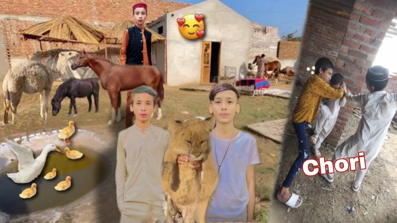 Ghar Main Chor Ghus Aiy Ab Sb Animals Khtre Main💔 - YouTube