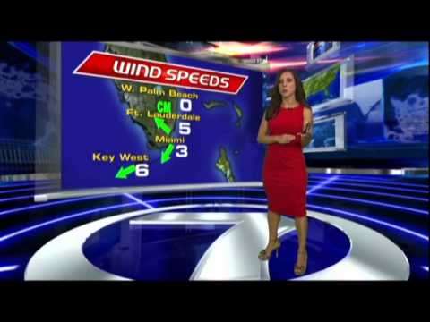 WSVN-TV 7NEWS Vivian Gonzalez hot red dress 8/5/2011 - YouTube