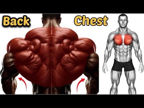 BEST EXERCISES FOR CHEST AND BACK BODY PARTS | WORKERS FOR BEGINNERS ...