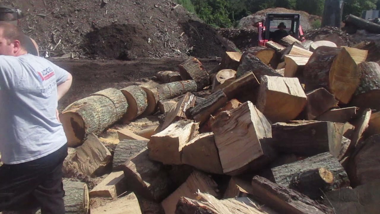 Big wood yard and big logs #526 - YouTube
