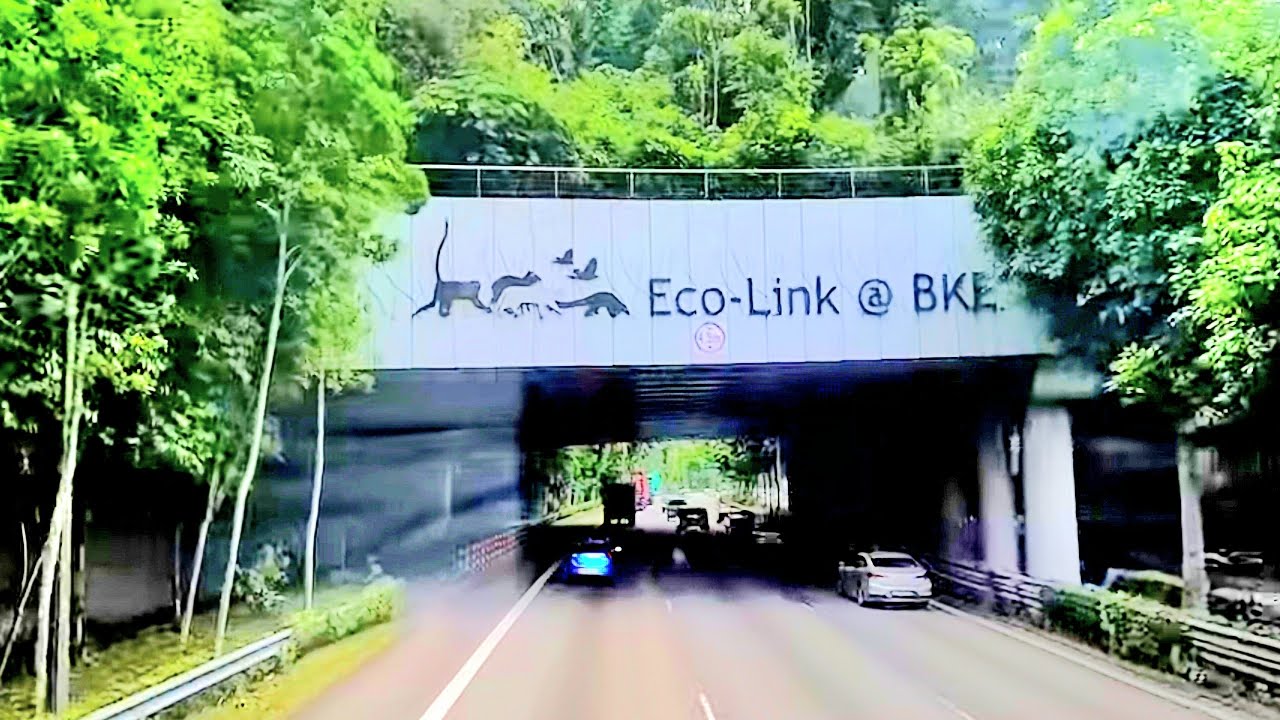 16 mins on the Bus in Singapore | Bukit Timah Expressway | Bukit ...