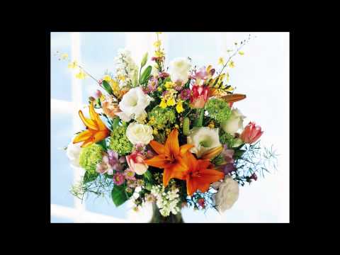 Aida - Qonaq gel bize