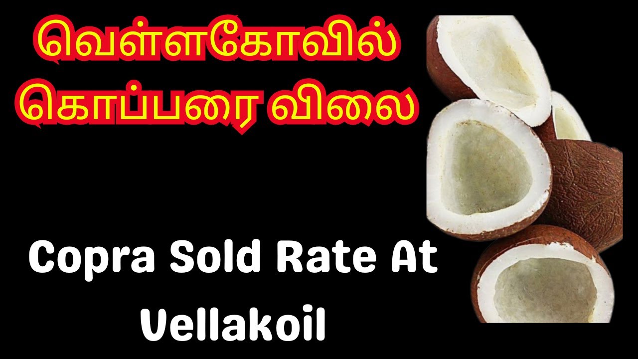 வெள்ளகோவில் கொப்பரை விலை | Copra Price At Vellakoil | Tiruppur District ...