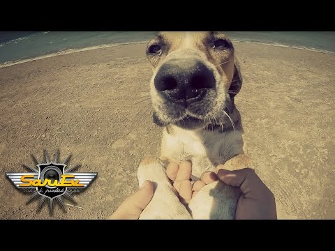 Fırat Akarsel - Ölmem Derdimden