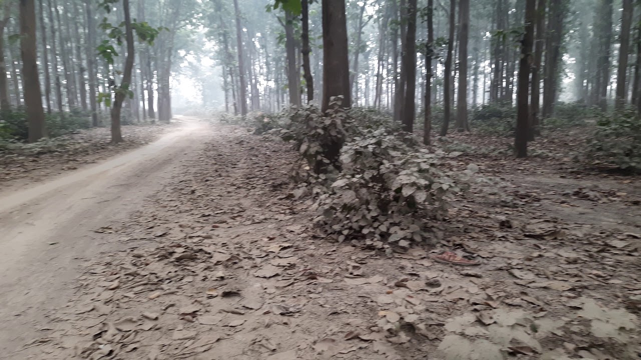 mankapur jangal, gonda - YouTube