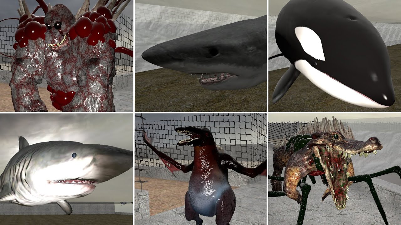 ZOOCHOSIS ALL NEW MONSTERS BETA ANIMALS pt.7 & JUMPSCARESS - YouTube