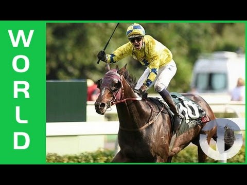 Horse Racing: QE II Cup 2016 on Trans World Sport