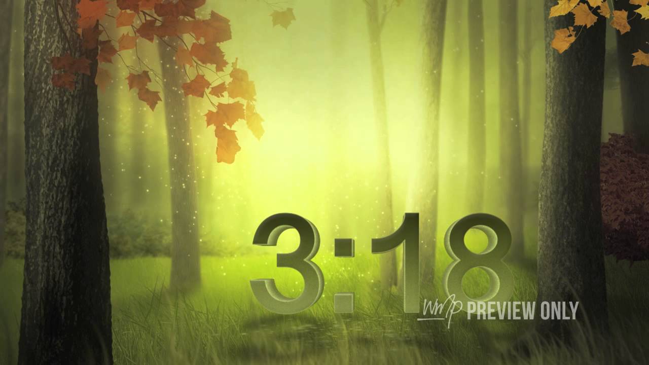 Forest Dreaming Countdown - YouTube