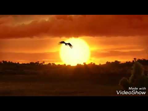 Çırpınırdı Karadeniz Özel Klip