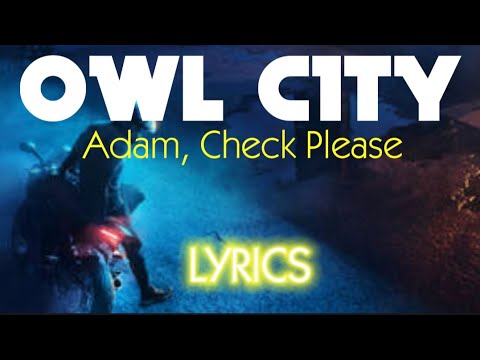 Owl City - Adam, Check Please (HD Lyrics) - YouTube