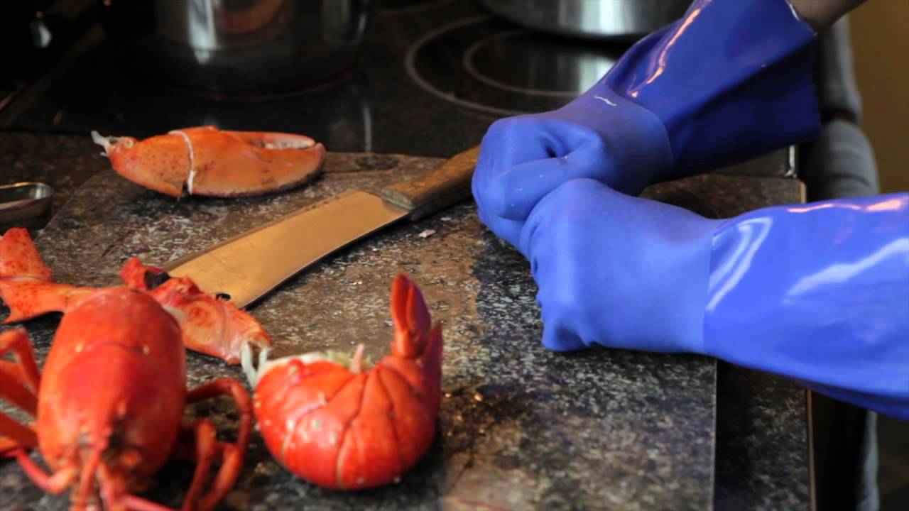 Lobster: How to cook and eat lobster - YouTube