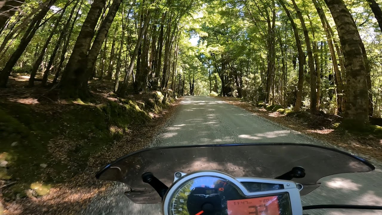 Discover the Amazing Nature by Taking a Different Path! - YouTube