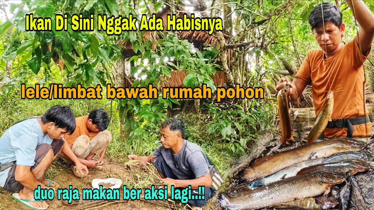 LELE /LIMBAT BAWAH RUMAH POHON NGGAK ADA HABISNYA || PAKCIK DAN HARUN ...