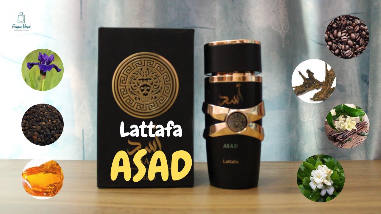 Lattafa Asad Perfume Review in Nepali | Best Clone of Dior Sauvage ...