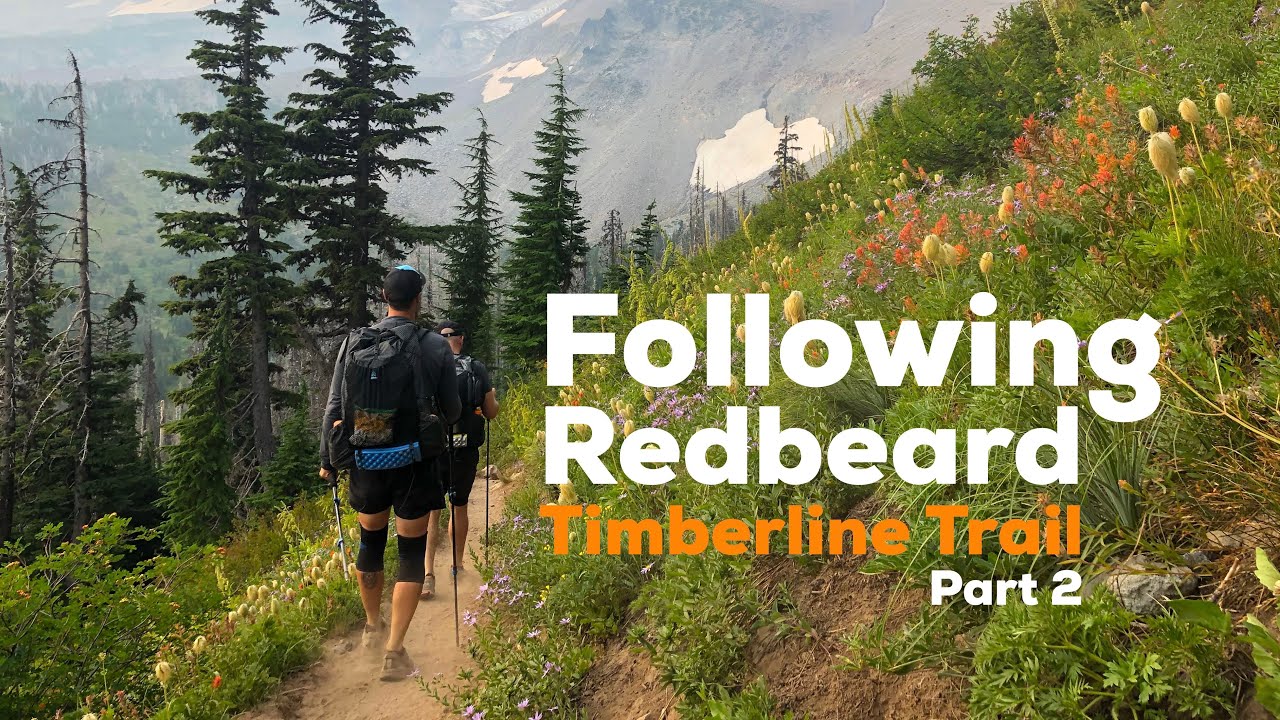 Backpacking the Timberline Trail • Day 2 - YouTube