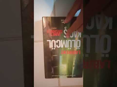 Labirent(olumcul kacis) kitap yorumu.