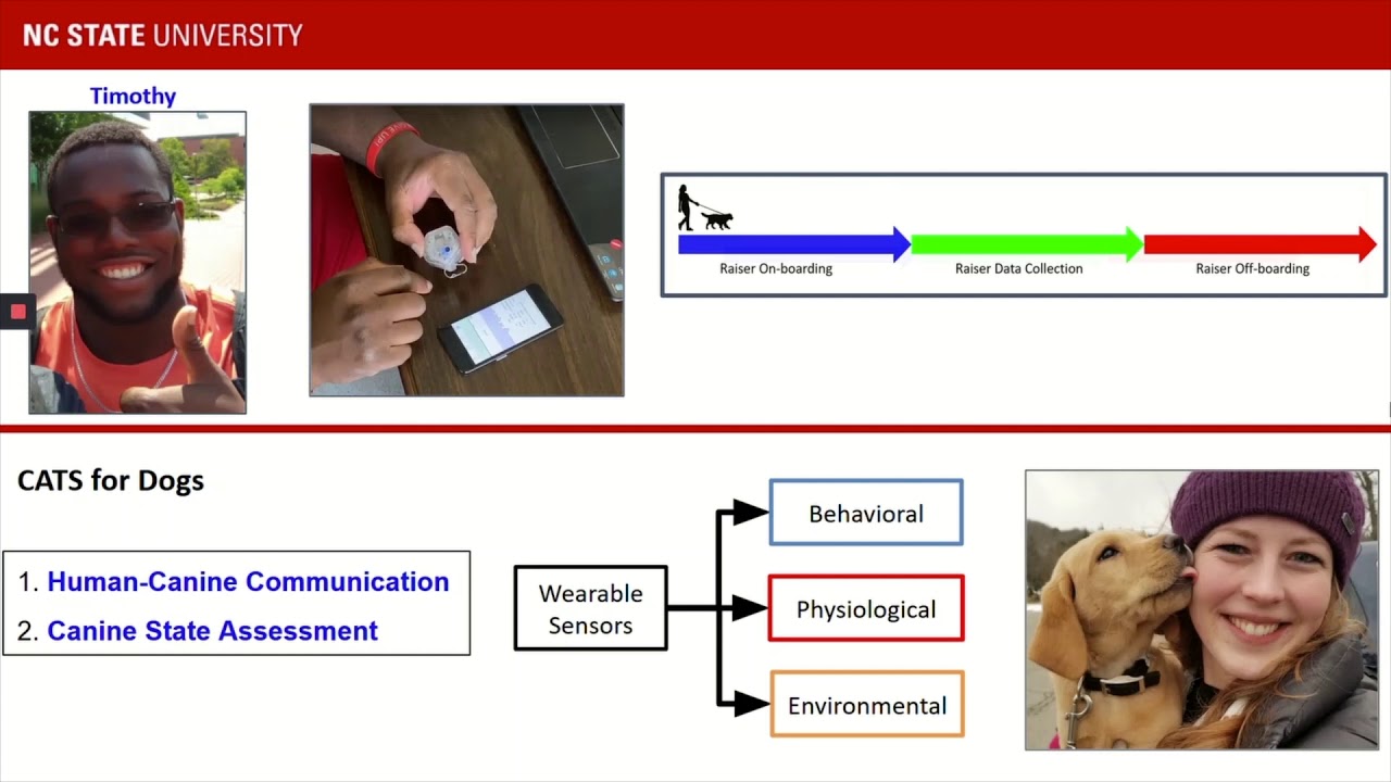 iBionicS Lab – Animal Work - YouTube
