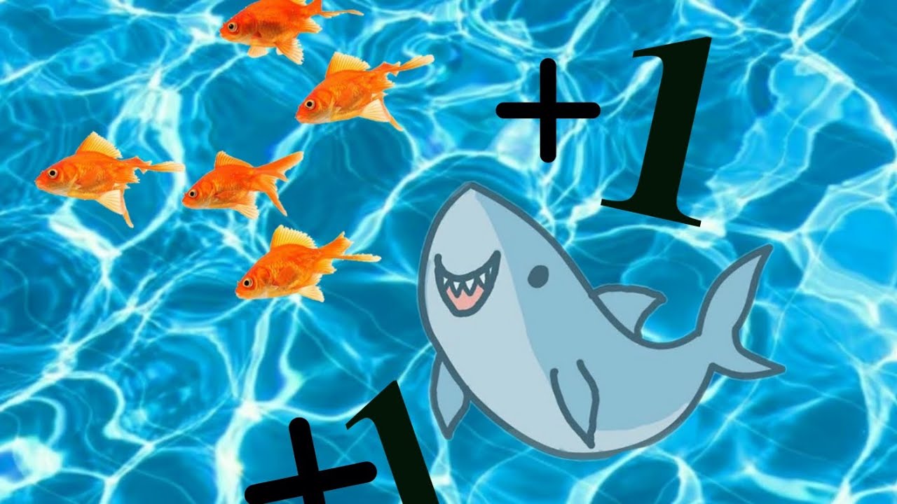 shark attack Yum yum yum - YouTube