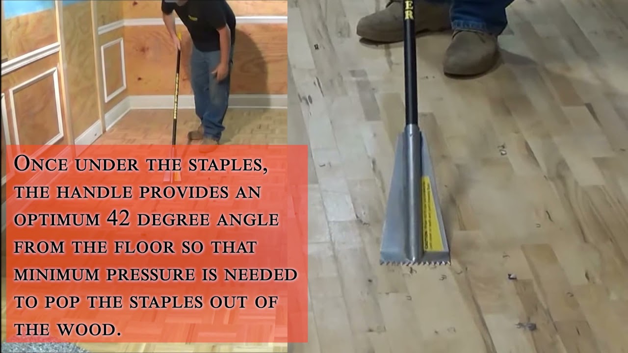 The Best Carpet Staple Remover (staple Popper) Is There A Tool To ...