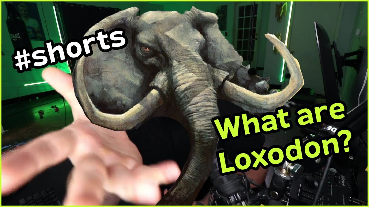 What is a Loxodon in D&D? - YouTube