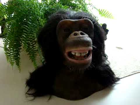 ALIVE remote control Chimpanzee - YouTube