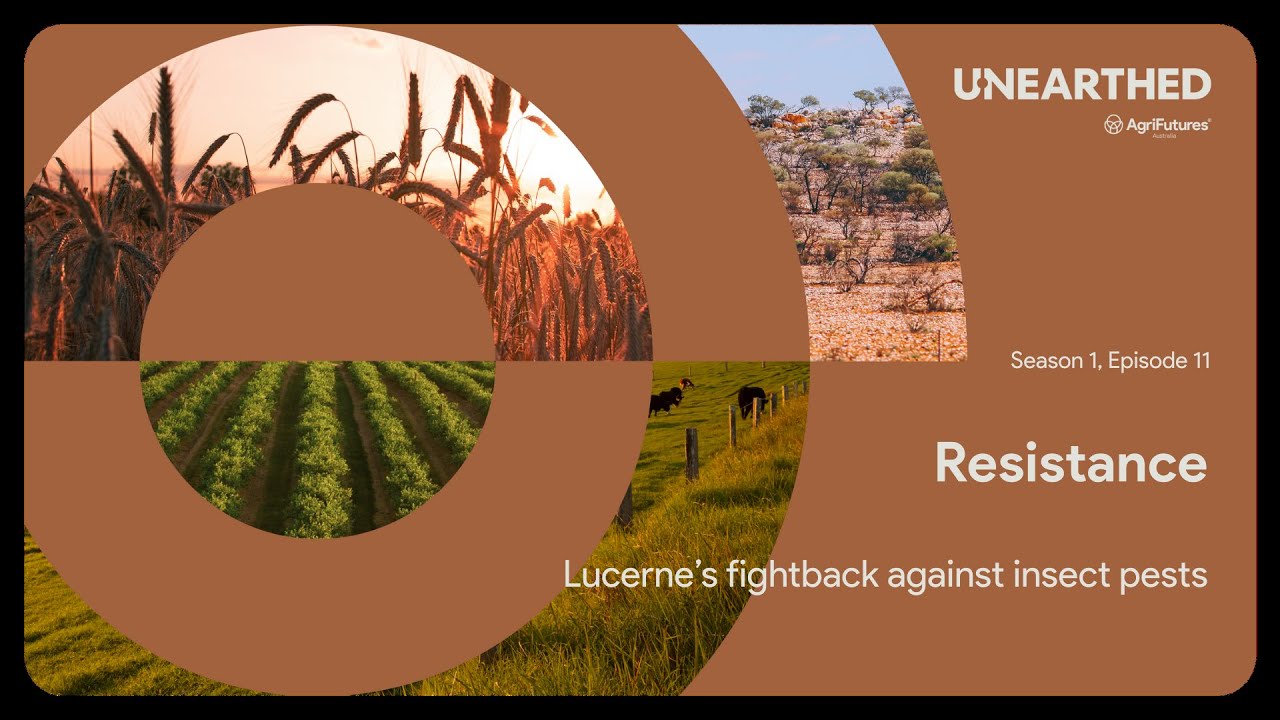 Episode 11: Resistance - Lucerne’s fightback against insect pests - YouTube