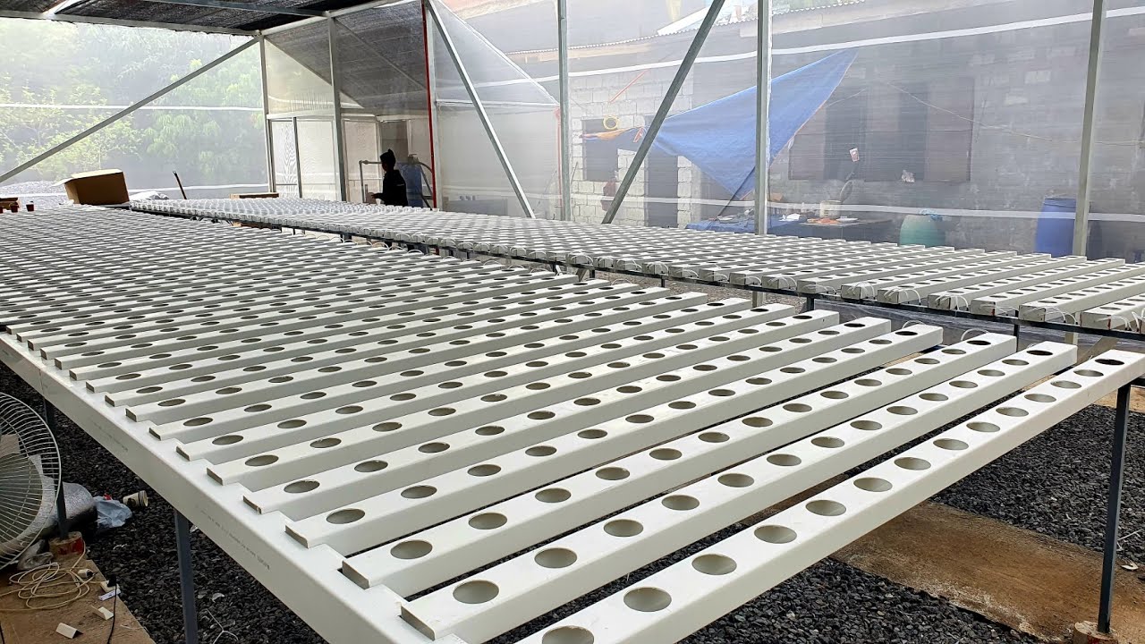 Explaining the pump control system in NFT hydroponics greenhouse system ...