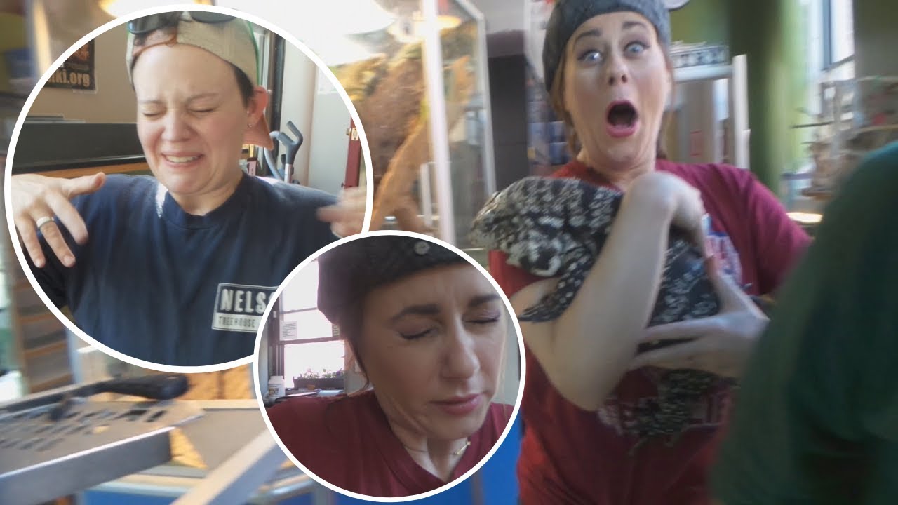 WE ATE BUGS | Dare Series - YouTube