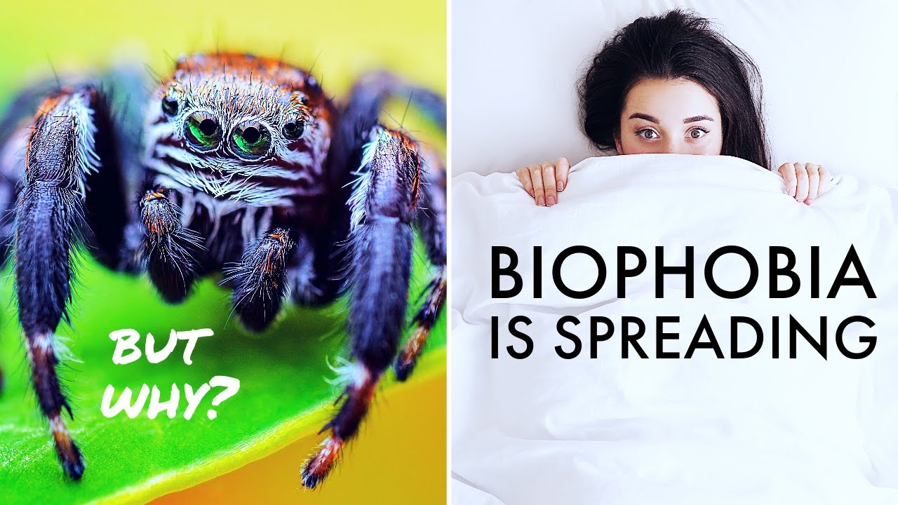 Our Fear of Nature May Destroy the Planet - YouTube