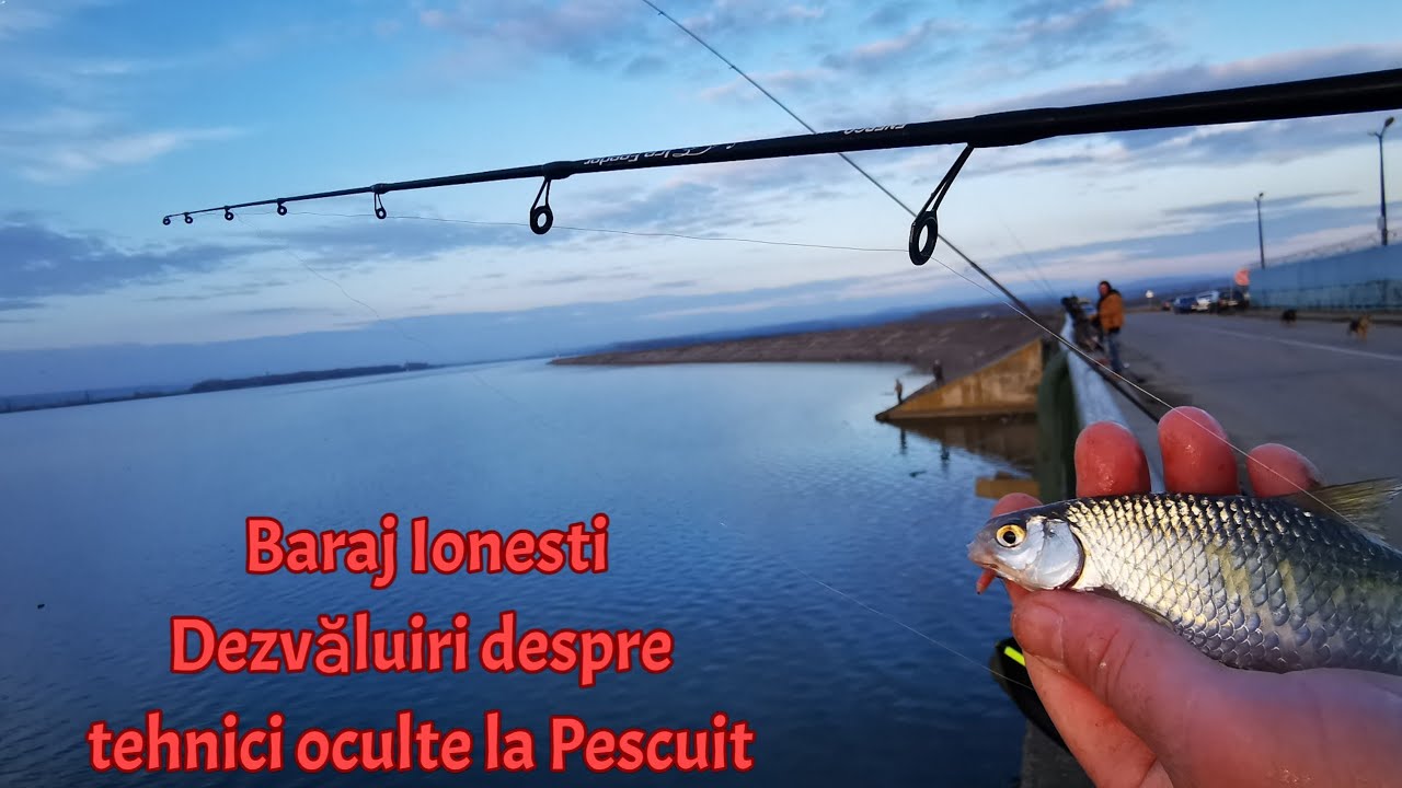 Pomul laudat de la Ionesti,dezvaluim tehnicile "oculte" ale lui Cristi ...