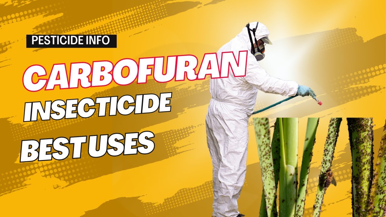 Carbofuran: Uses, Mode of Action, and Application - YouTube