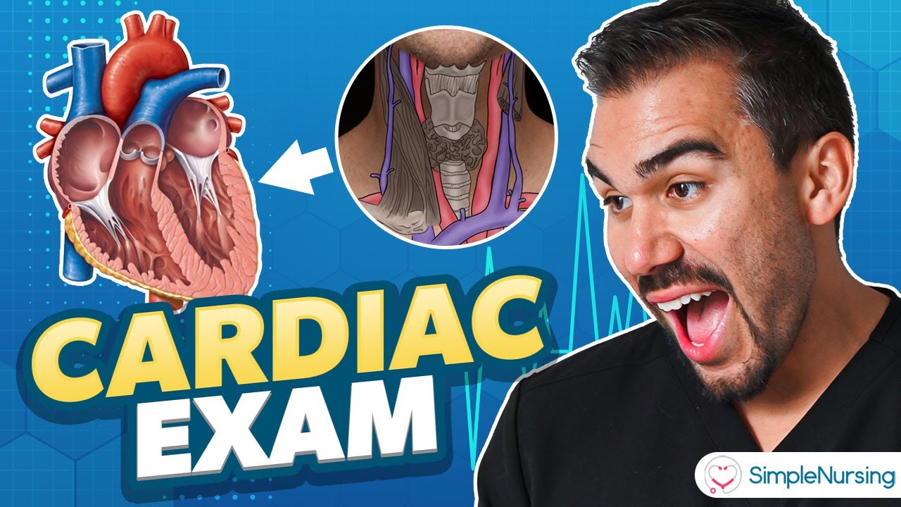 Cardiac Objective Physical Exam for Nursing Students Made EASY - YouTube