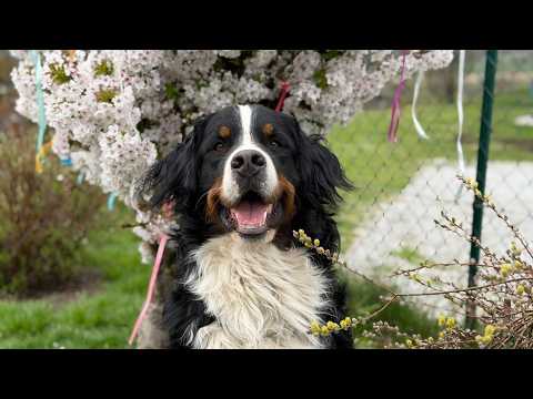 Dorian 3 Jahre