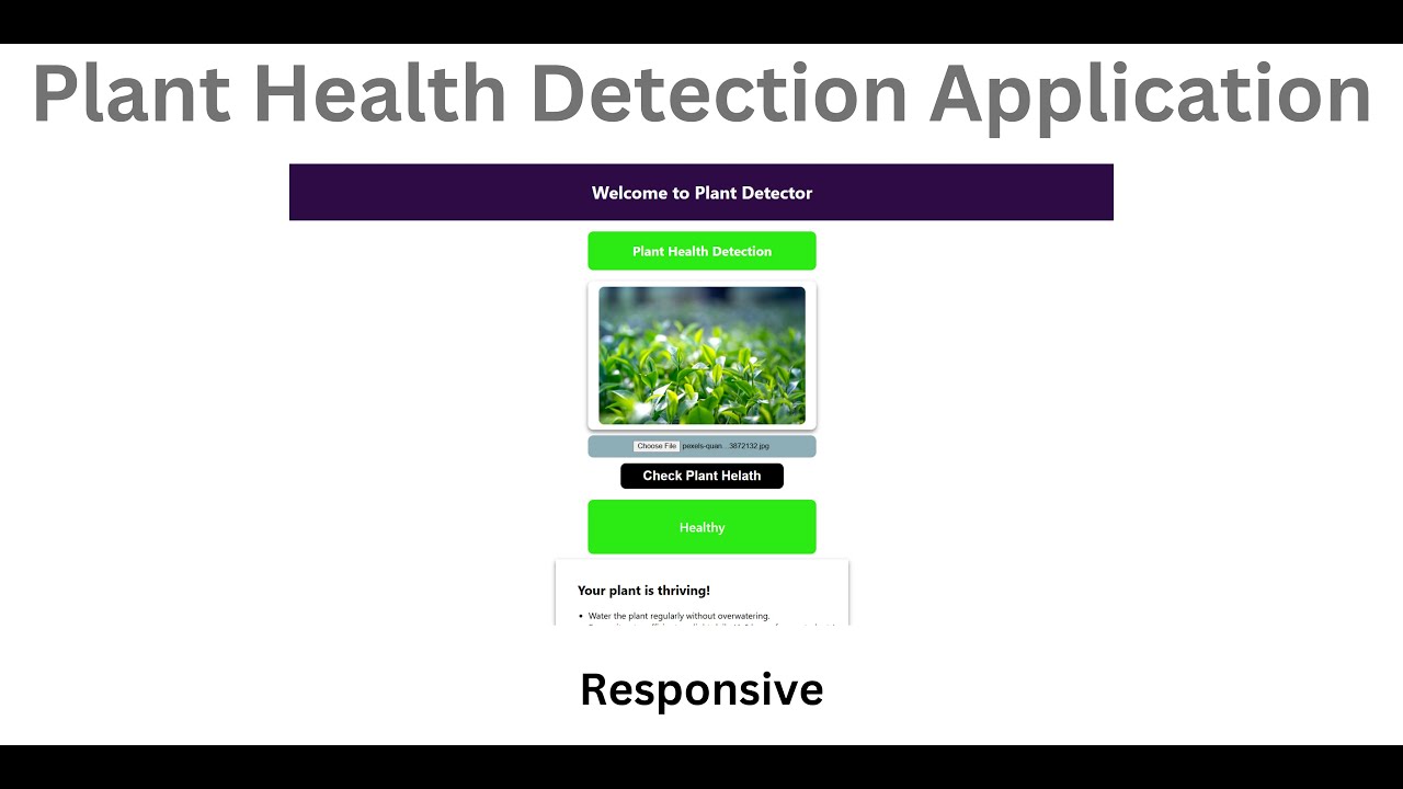 🌱 Plant Health Detector with AI | Built Using Teachable Machine - YouTube