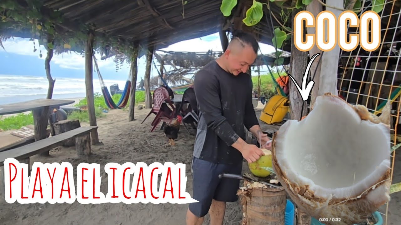 🛑Tomando agua de coco en la playa de el icacal 😋《♡AVENTURAS ...