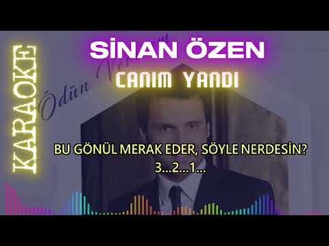 Sinan Özen - Canım Yandı (Karaoke)