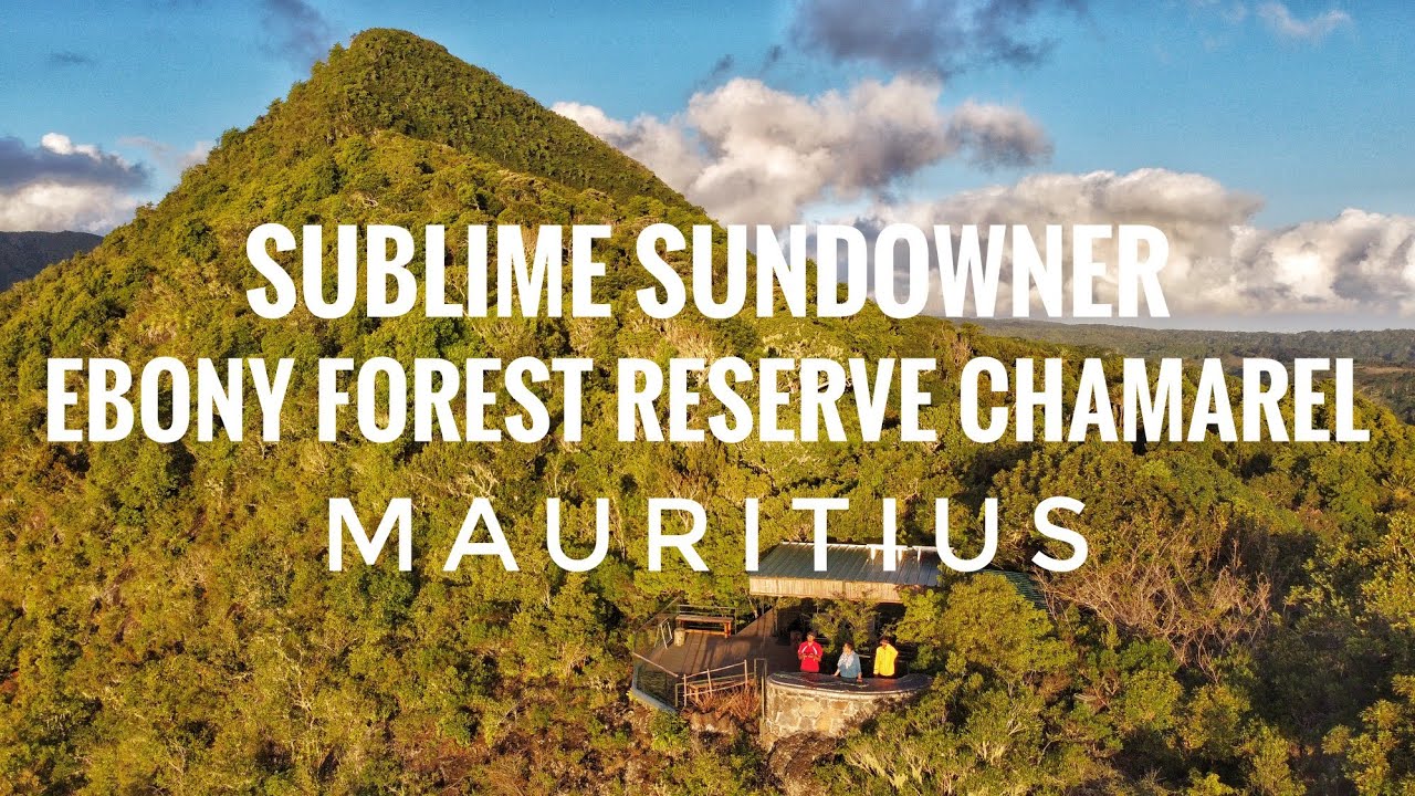 Ebony Forest Chamarel Mauritius - YouTube