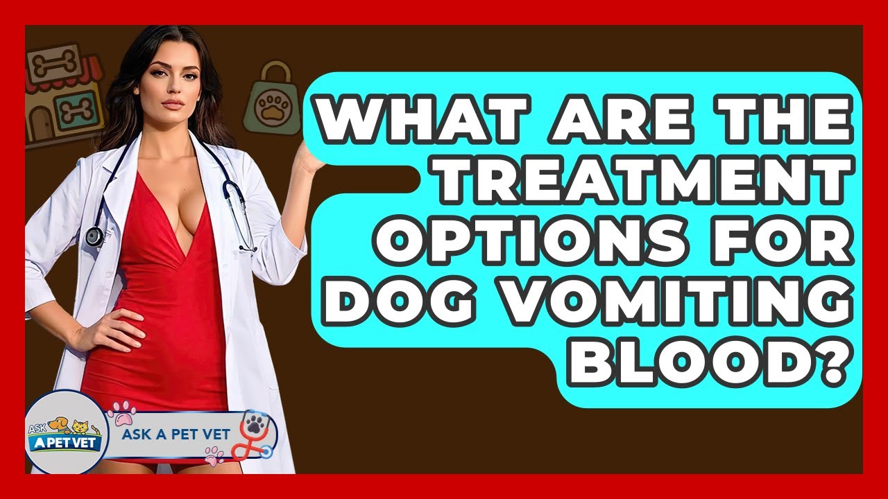 What Are The Treatment Options For Dog Vomiting Blood? - Ask A Pet Vet ...