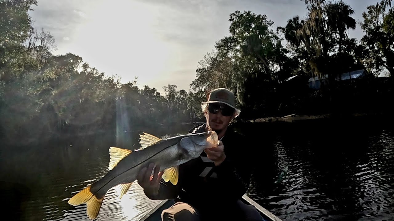 Snook fishing in remote Homosassa Florida! - YouTube