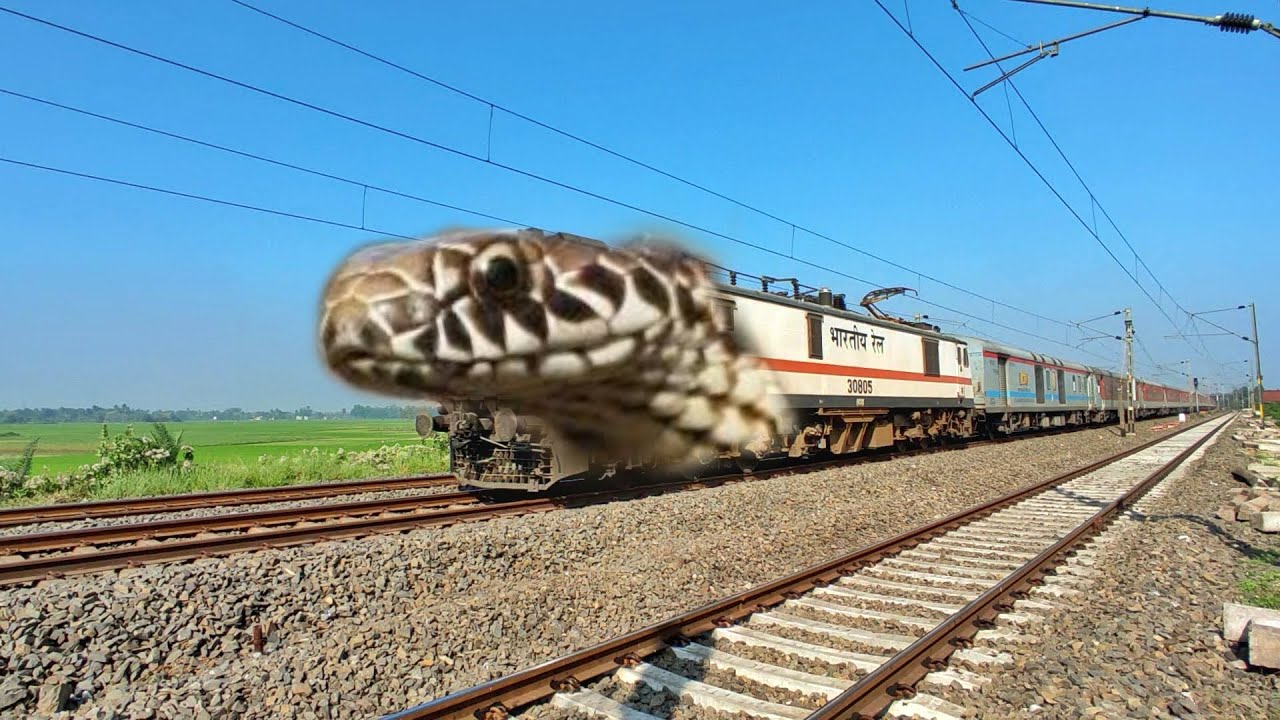 Furious Angry Snake Face Express Train Moving out Dangerously - YouTube