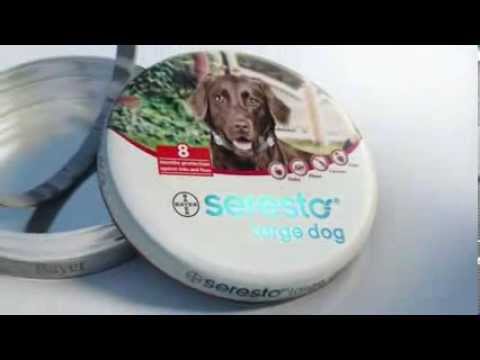 TV Spot - PetSmart - Seresto - 8 Month's Protection Against Fleas ...