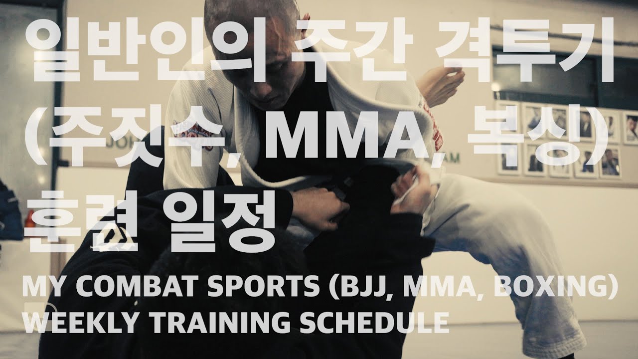 일반인의 격투기 (주짓수, MMA, 복싱) 주간 훈련 일정 My Combat Sport (BJJ, MMA, Boxing ...